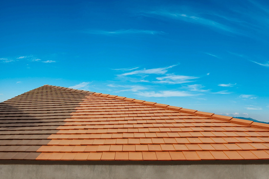 Teja Mexicana: transformando el diseño de techos en la actualidad ...